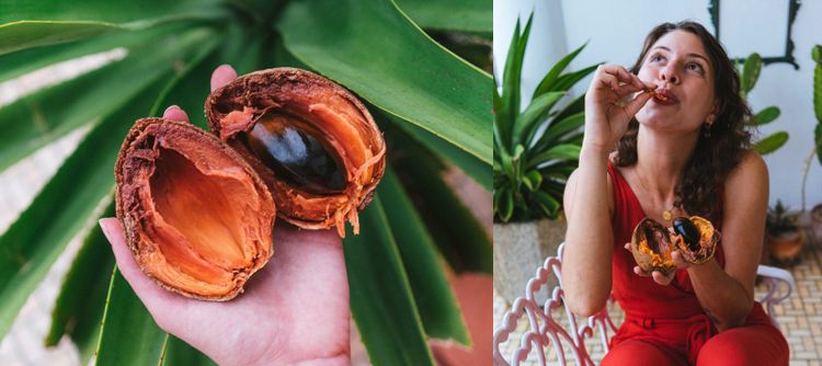 19 Traditional Must-Eat Dishes to Try in Cuba - Seasoned Traveller