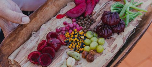 Will Native Australian Ingredients ever be Mainstream? - Seasoned Traveller