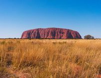 Will Native Australian Ingredients ever be Mainstream? - Seasoned Traveller